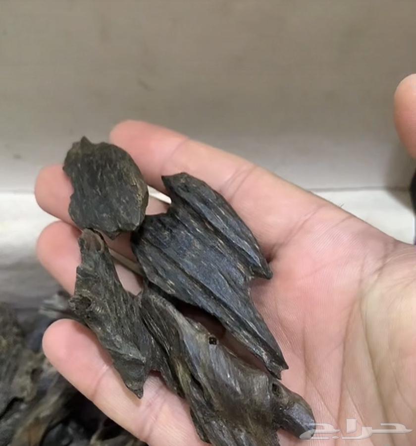 عود بنقالي ثقيل وصك موقع حراج