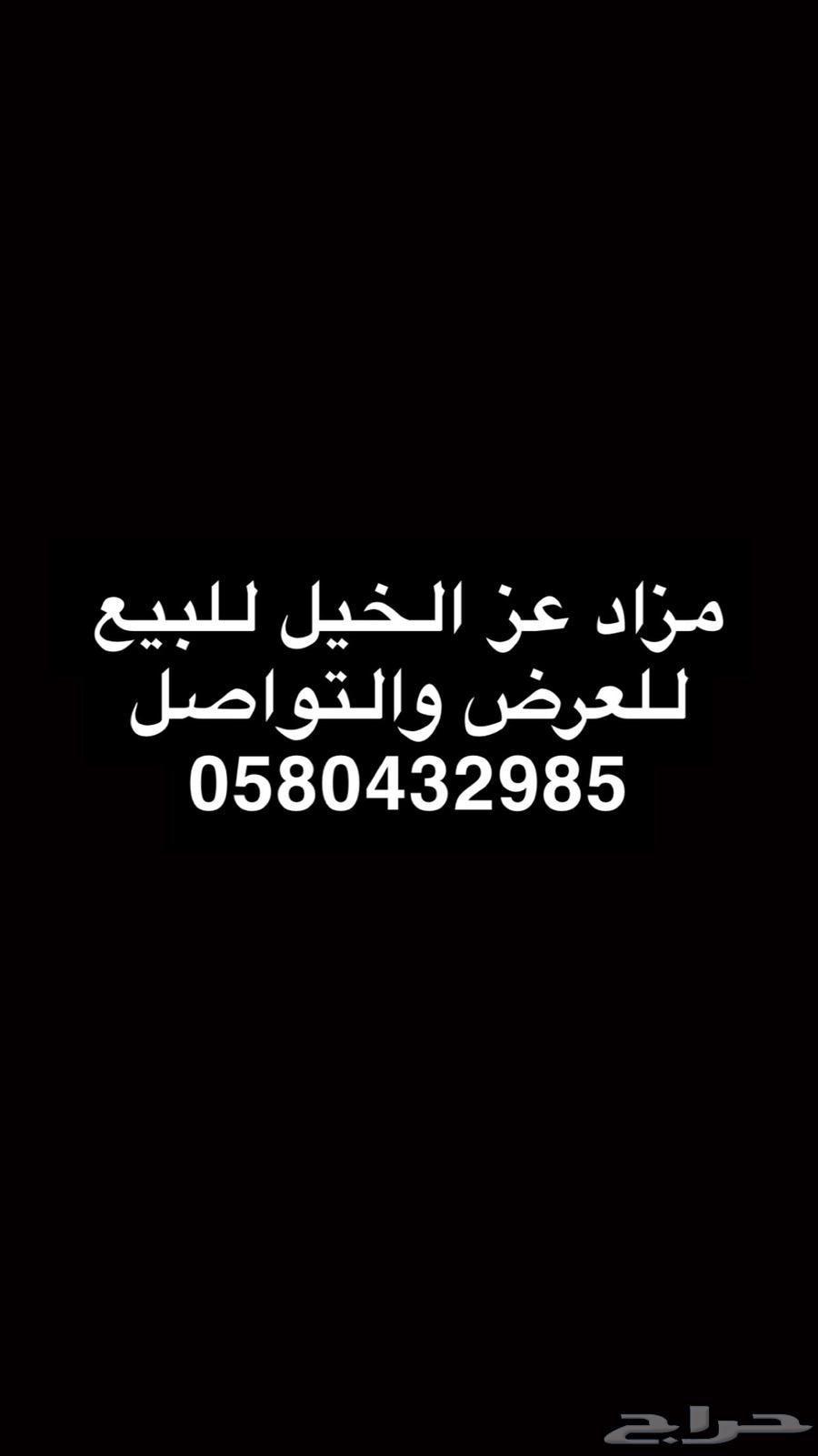 خيل موقع حراج