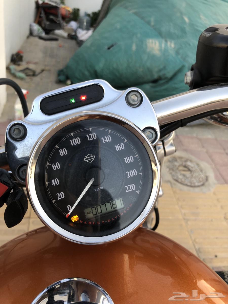 هارلي سبوستر موقع حراج